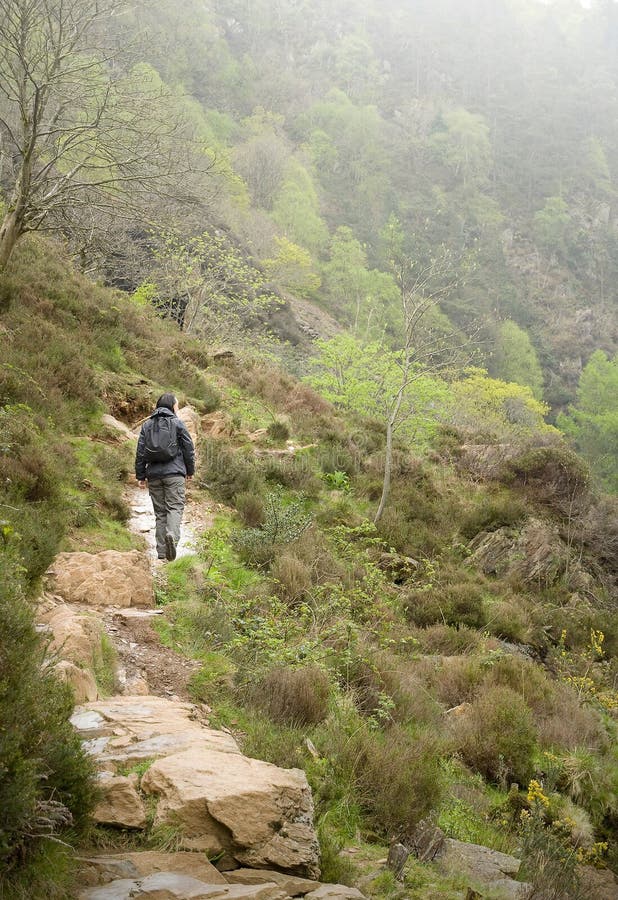 Woman Walking Up a Mountain on Stone Path Stock Image - Image of ...