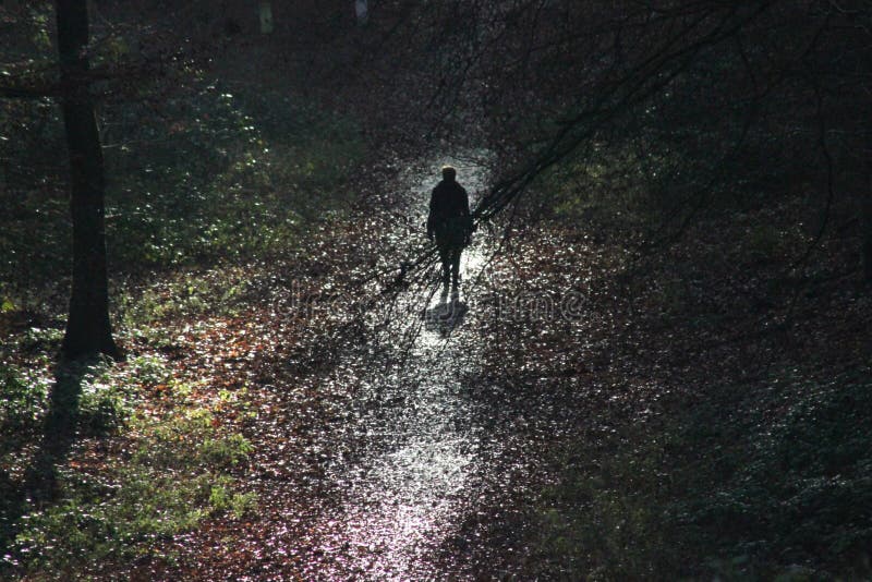 A Woman Walks Alone in a Dark Forest Stock Image - Image of outdoor ...
