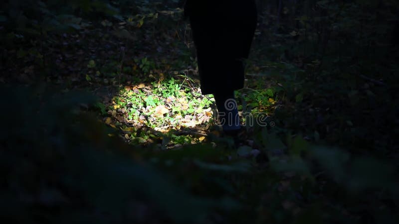 A Woman Walks through the Forest on a Dark Night, Shining a Flashlight ...