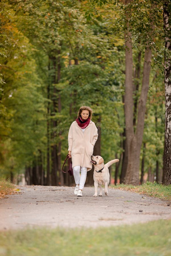 A Woman Walks with Her Labrador in the Fall. Stock Photo - Image of ...