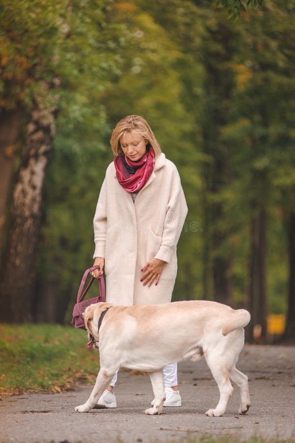 A Woman Walks with Her Labrador in the Fall. Stock Photo - Image of ...
