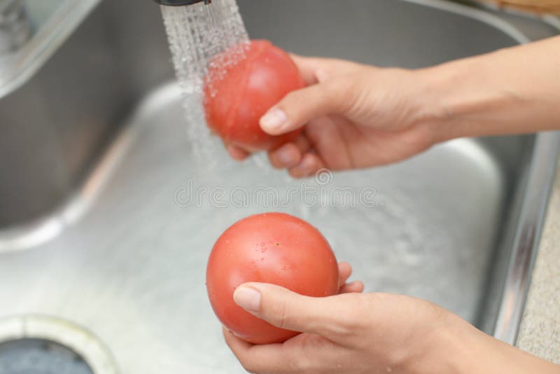 Woman wash the tomatoes stock image. Image of gourmet - 109230635