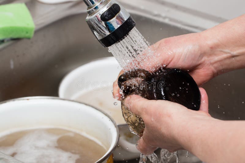 Woman Washes Spoons Under a Tap of Water Stock Photo - Image of dish ...