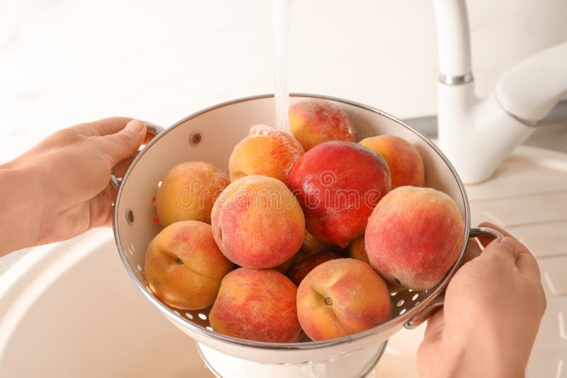Washing Peaches on Production Line in Packaging Workshop Stock Image ...