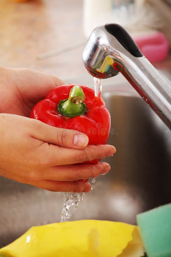 Woman washing vegetable stock photo. Image of detail - 19761098