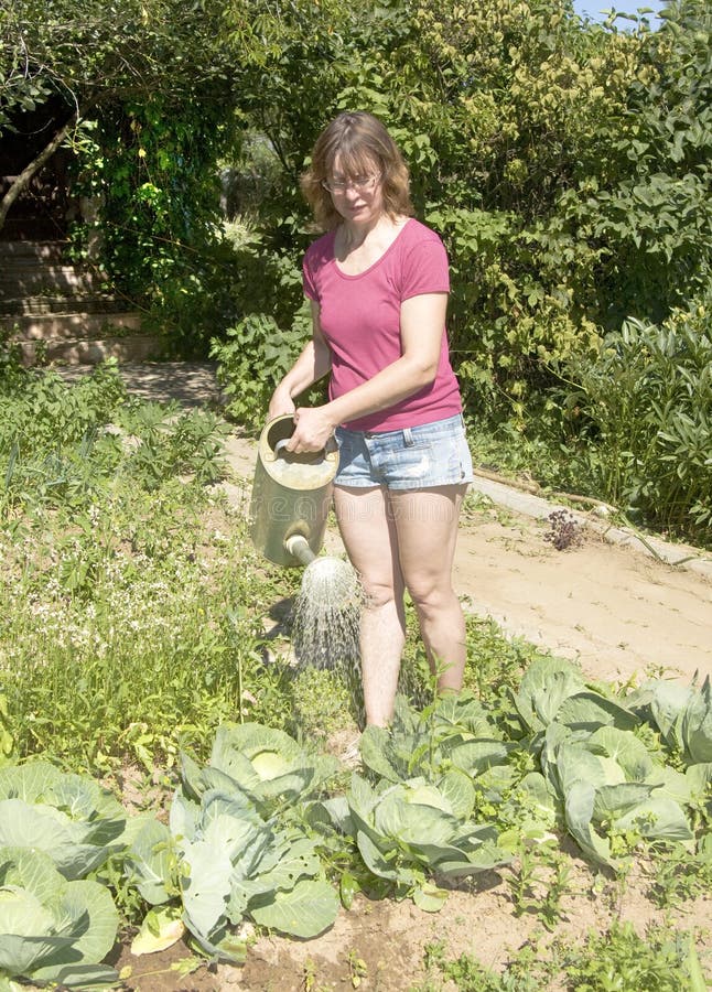 Old Lady Watering Flowers in Garden Stock Photo - Image of garden ...