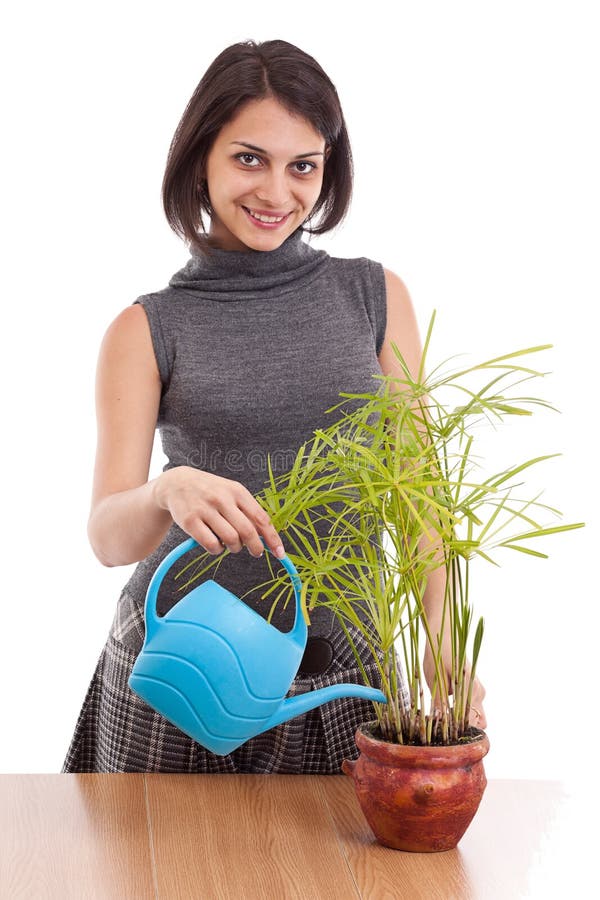 Woman watering plant stock image. Image of beautiful - 24742779