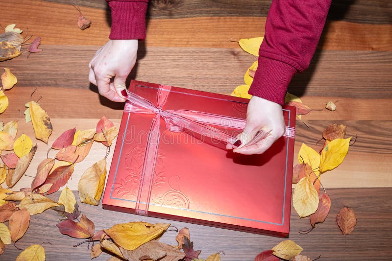The Woman Who Unwrapped the Gift Stock Image - Image of bonding ...