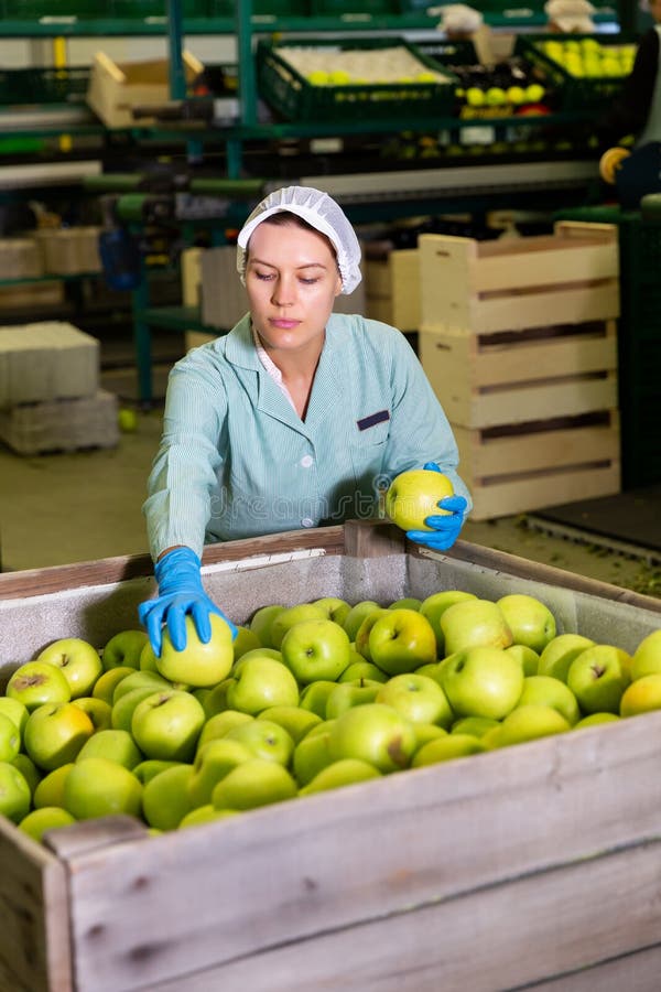 3,604 Sorting Activity Stock Photos - Free & Royalty-Free Stock Photos ...