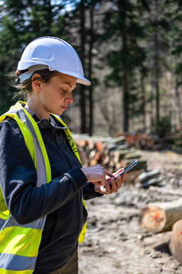 A Woman Working As a Forester. Wood Quality Control Process Stock Image ...