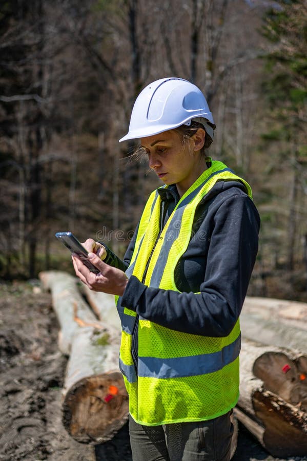 A Woman Working As a Forester. Wood Quality Control Process Stock Photo ...