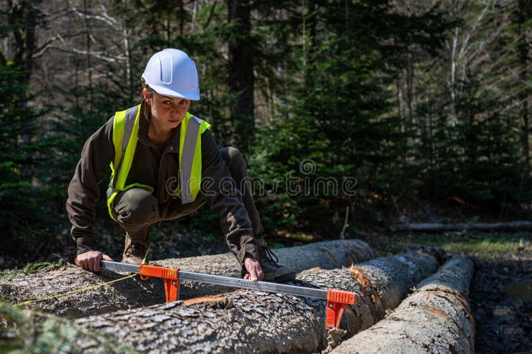 A Woman Working As a Forester. Wood Quality Control Process Stock Photo ...