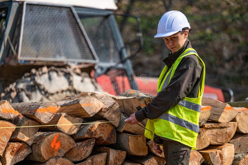 A Woman Working As a Forester. Wood Quality Control Process Stock Photo ...