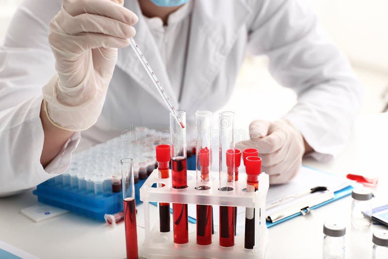 Woman Working with Blood Samples in Laboratory Stock Photo - Image of ...