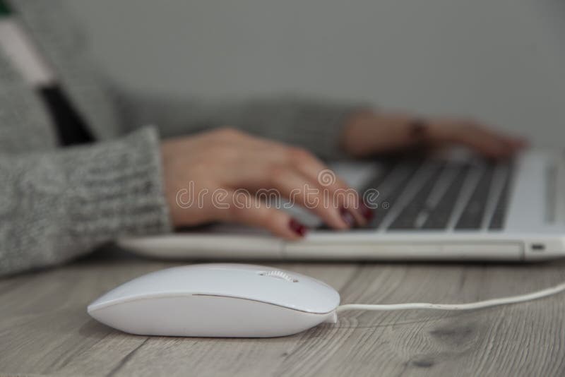 Woman Working in Computer Keyboard Stock Photo - Image of horizontal ...