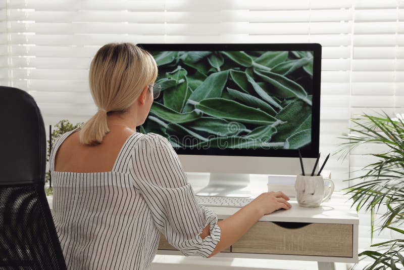 Woman Working on Computer at Table in Room, Back View. Interior Design ...