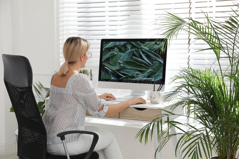 Woman Working on Computer at Table in Room. Interior Design Stock Image ...