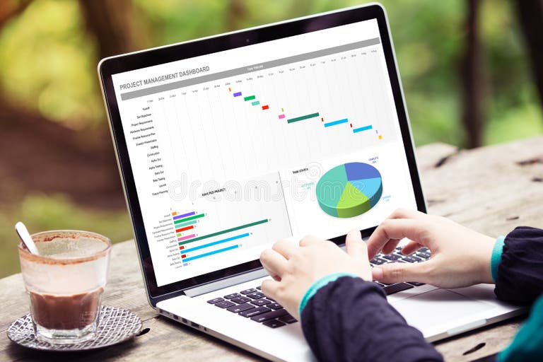 Woman Working with Excel Project Dashboard on Laptop / Computer Stock ...