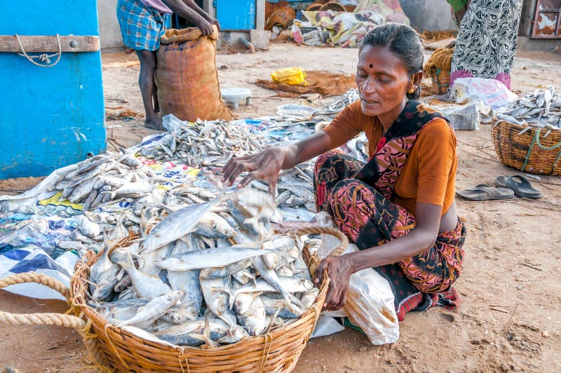 Woman Working with Fish editorial image. Image of south - 33378825