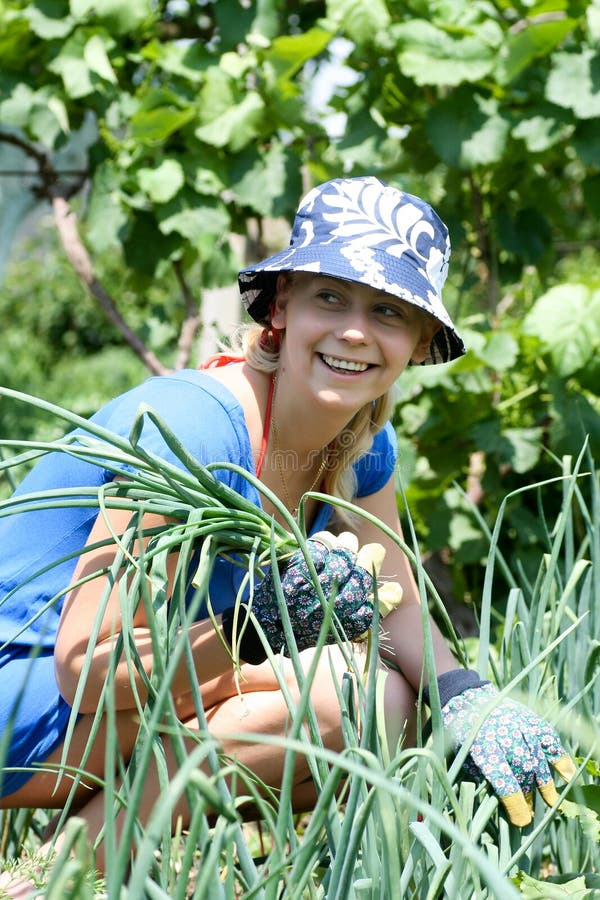 Woman Working In The Garden Picture. Image: 16433259