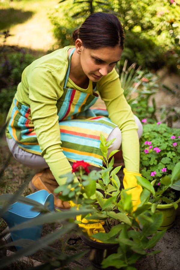 Woman Working in the Garden Stock Image - Image of flora, blooming ...