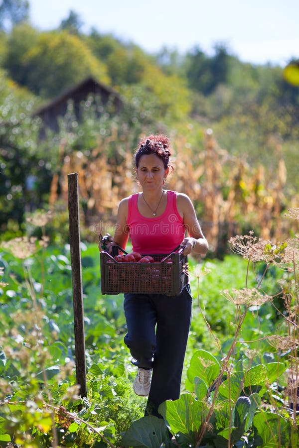 Woman Working in the Garden in the Countryside Stock Image - Image of ...