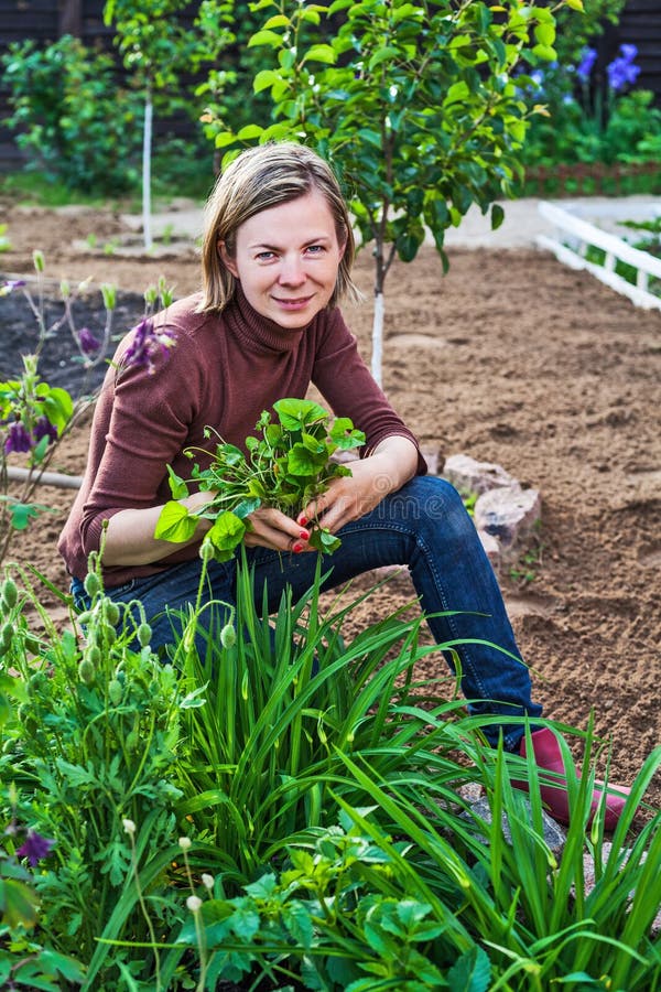 Woman working in garden stock image. Image of pruner - 41162165