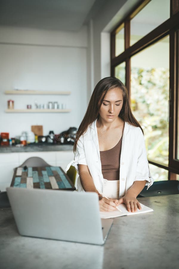 Woman Working from Home at the Computer Stock Photo - Image of ...