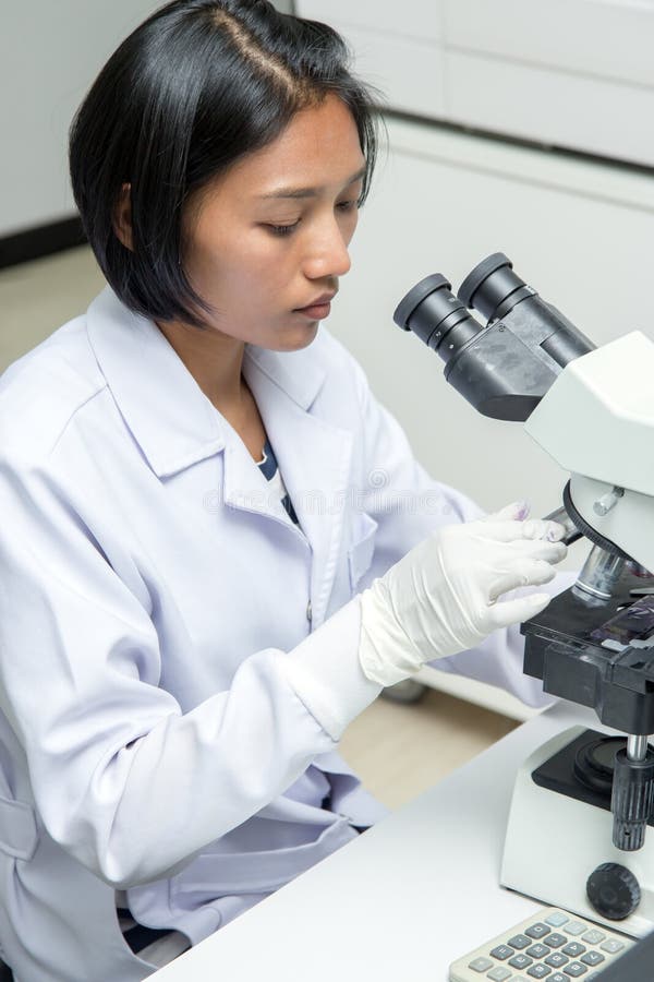Woman Working in a Laboratory Stock Image - Image of people, person ...