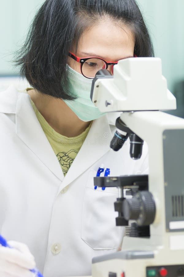 Woman Working with a Microscope Stock Photo - Image of optical ...