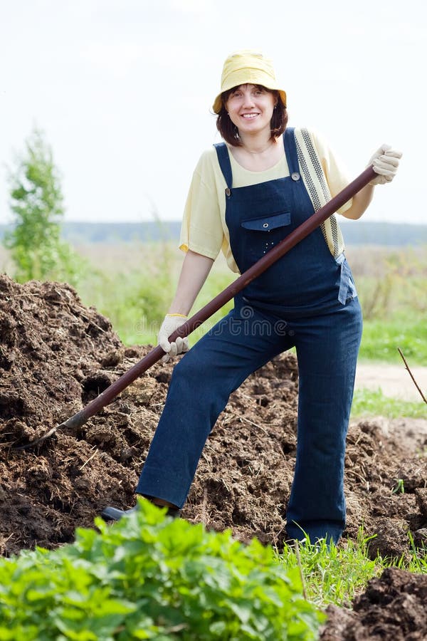 2,221 Manure Livestock Stock Photos - Free & Royalty-Free Stock Photos ...