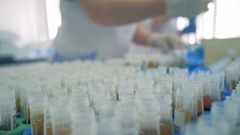 Laboratory Worker Works with Plastic Tubes in a Laboratory. Stock Video ...