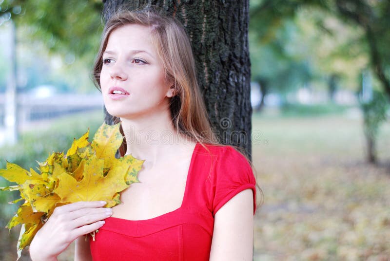 Woman with yellow leaves stock image. Image of finger - 11366755
