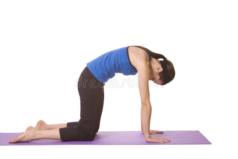 Head on Floor Yoga Inversion Pose Stock Photo - Image of bodycare ...