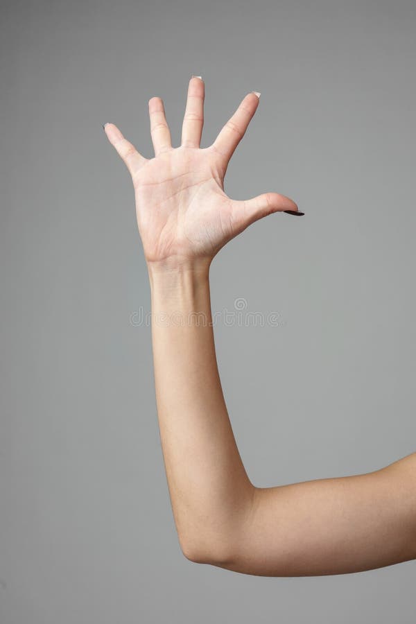 Womans Arm Extended Up in Gesture Stock Photo - Image of offering ...