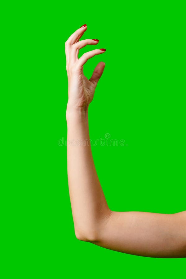 Womans Arm Hand Sign Raised in the Air Stock Photo - Image of chromakey ...