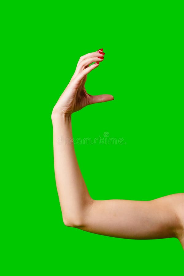 Womans Arm Hand Sign Raised in the Air Stock Image - Image of isolated ...