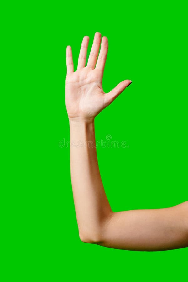 Womans Arm Hand Sign Raised in the Air Stock Image - Image of human ...