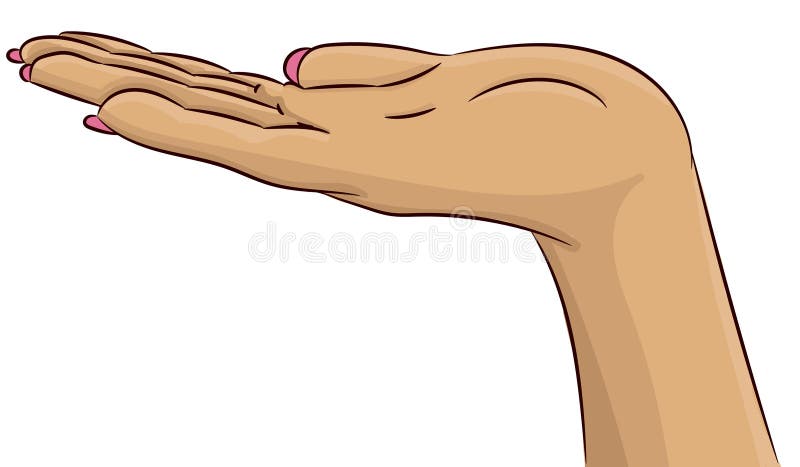 Womans Hand Keep Something Isolated on White Stock Vector ...