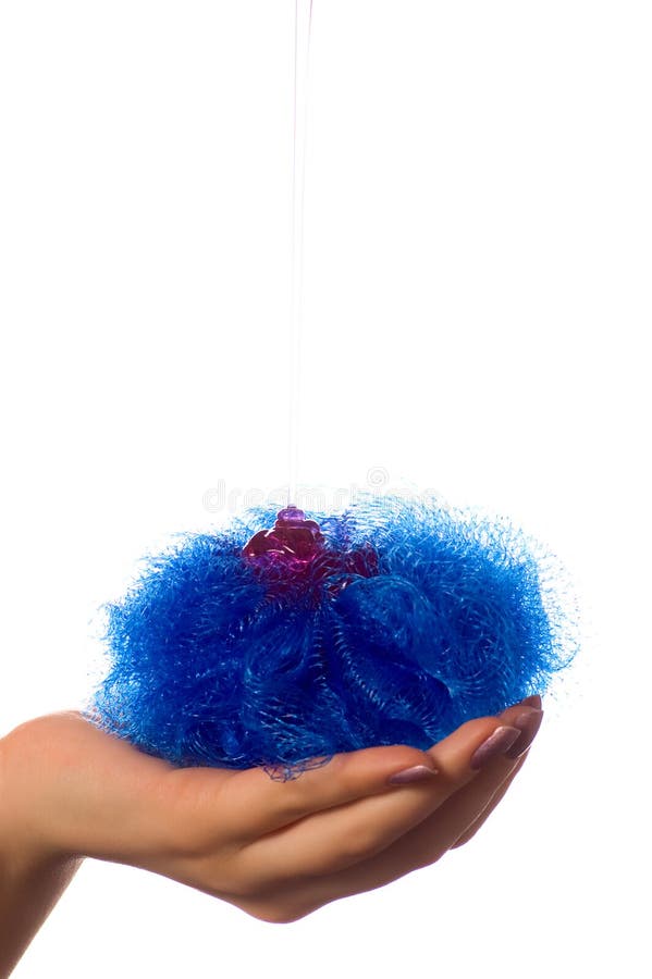 Womans Hand with Sponge and Soap Gel Stock Photo - Image of lifestyle ...