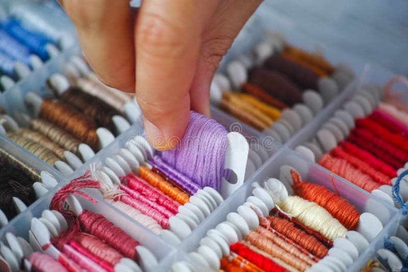 Womans Hand Taking a Bobbin with Purple Embroidery Thread from a ...