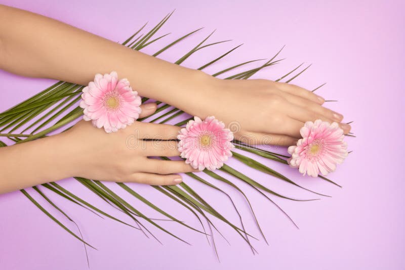 Gerbera And Skin Stock Image Image Of People Pleasure 14655375