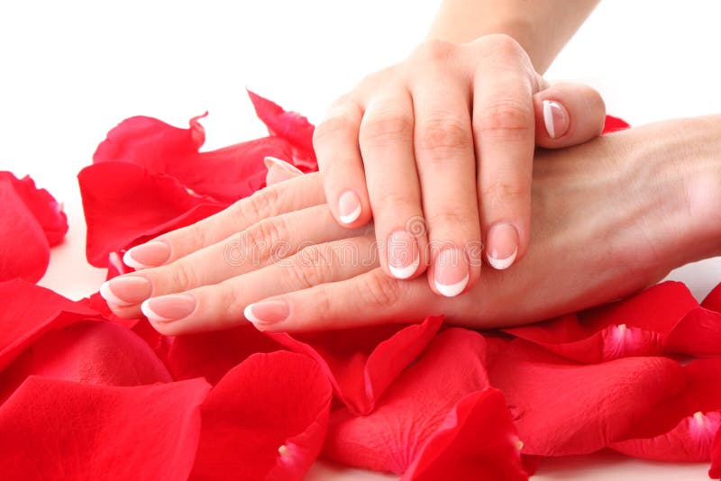 Womans hands with manicure stock photo. Image of pure - 17473538