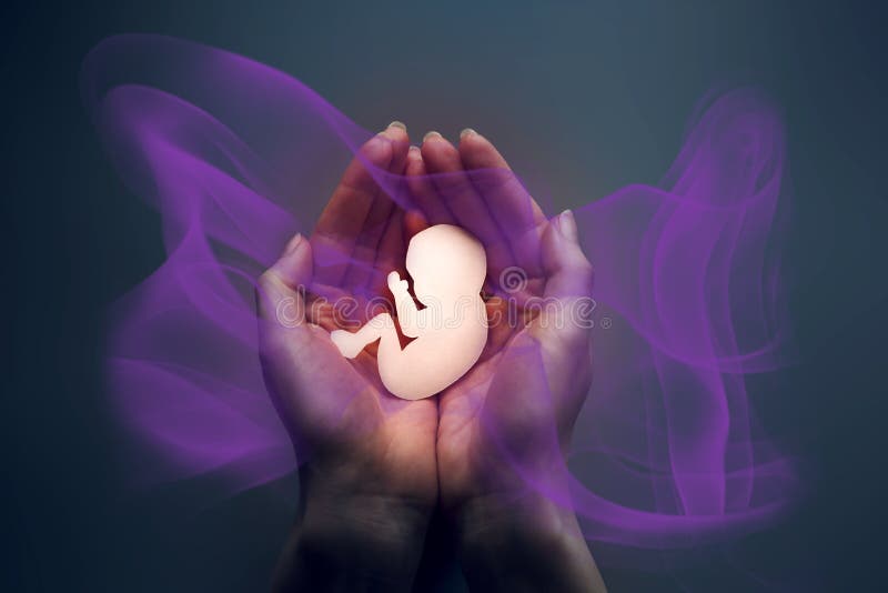 Fetus II stock illustration. Illustration of pregnant, born - 336991