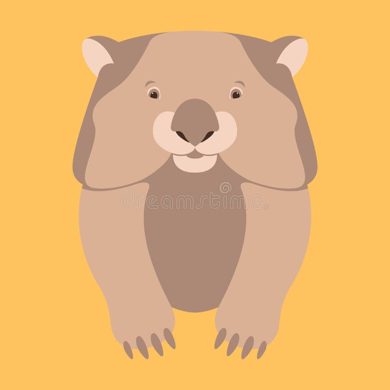 Australian Wombat Face Stock Illustrations – 36 Australian Wombat Face ...