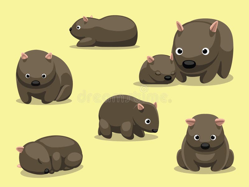 Wombat Poses Cartoon Vector Illustration Stock Vector - Illustration of ...