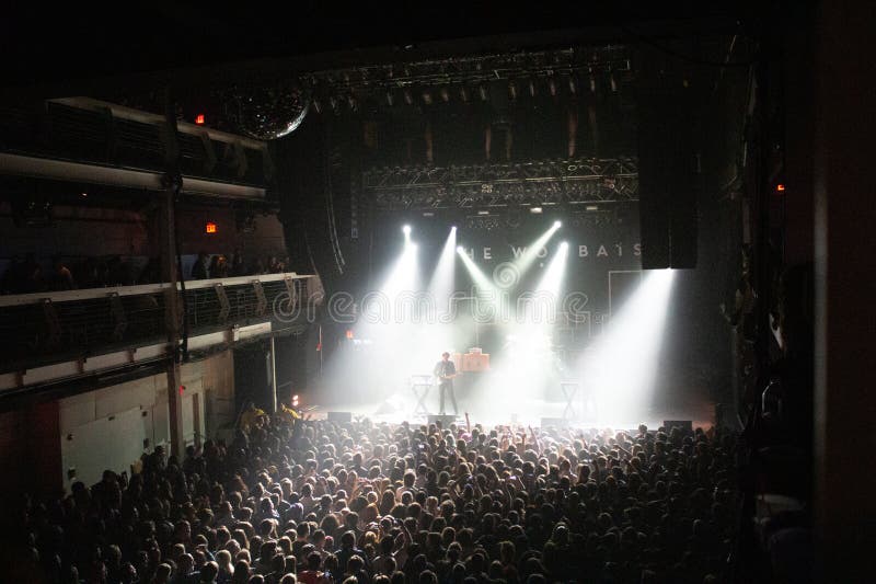 Wombats in Concert from Terminal 5 in New York Editorial Stock Photo ...