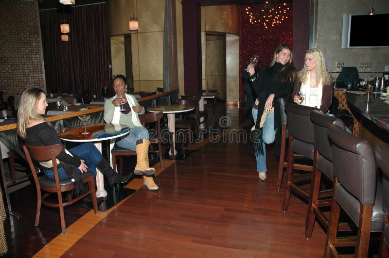 Women at the Bar stock image. Image of alcohol, casual - 1612889