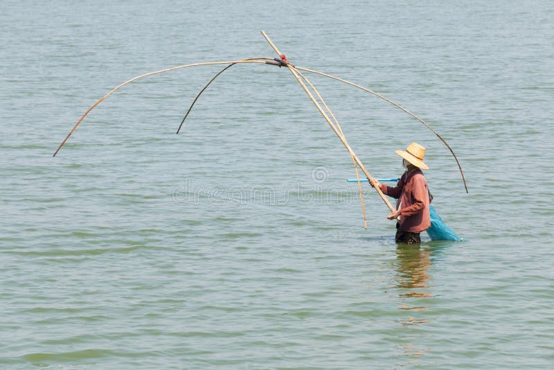 Women are Catching Fish with Traditional Equipment in the Pool Stock ...