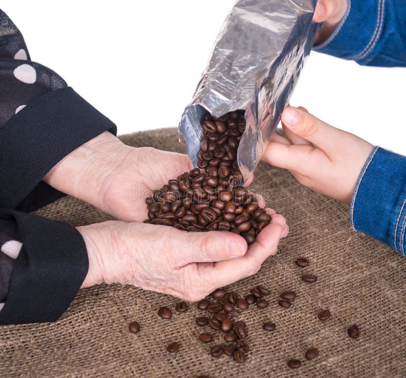 Women Checking the Quality of Coffee Beans Stock Image - Image of brown ...